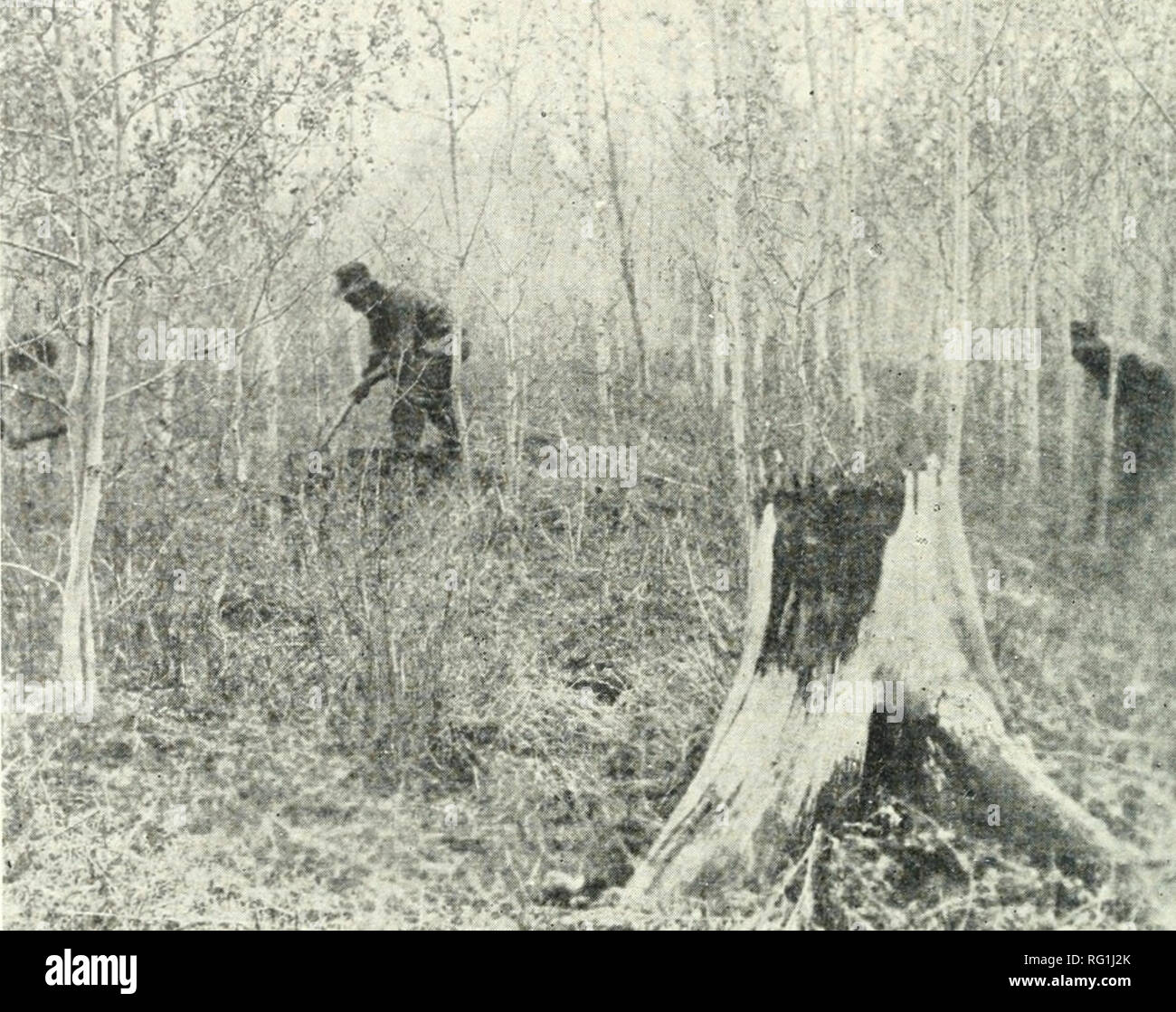 J W W Birch High Resolution Stock Photography and Images - Alamy