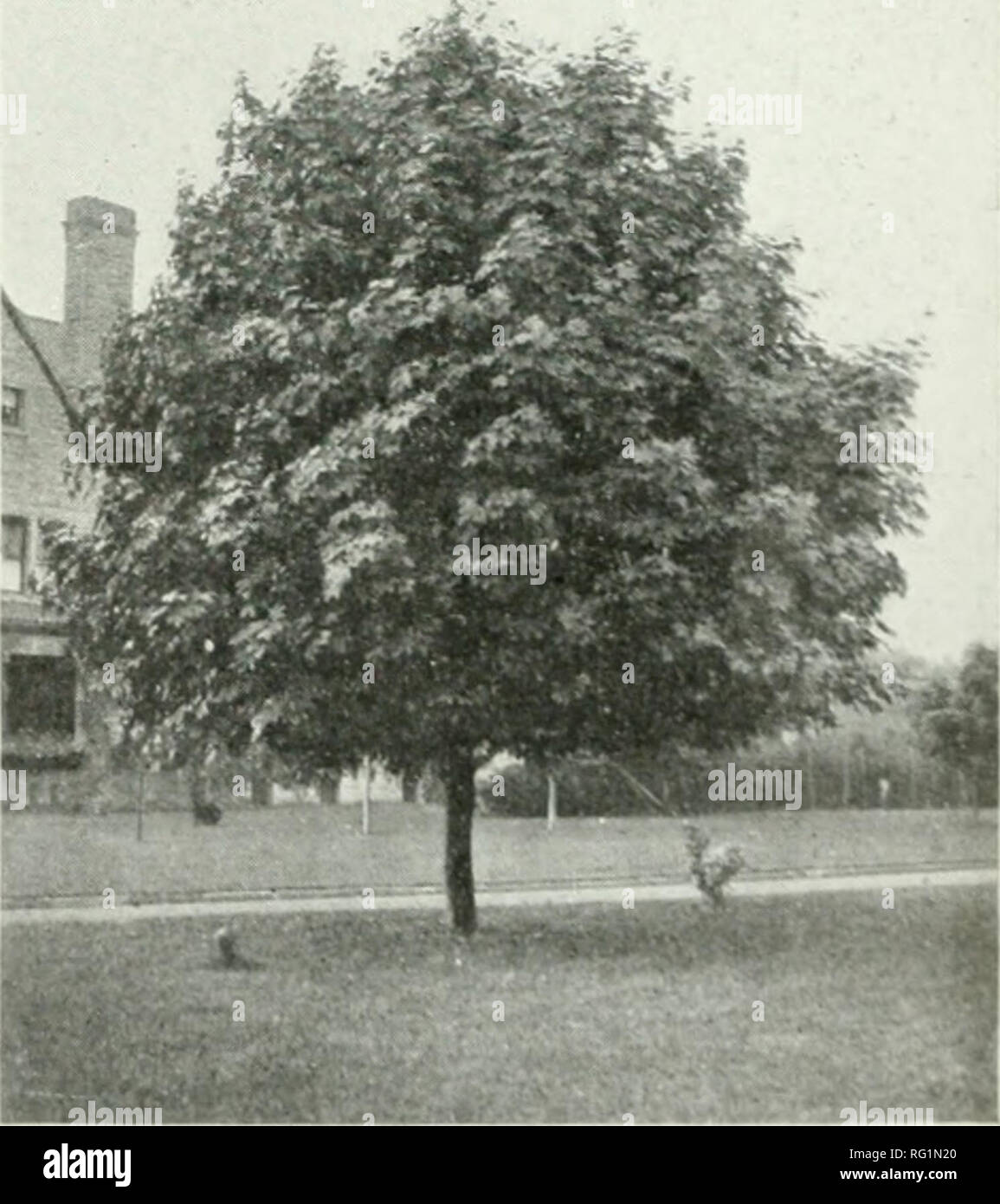 Douglas malloch hi-res stock photography and images - Alamy