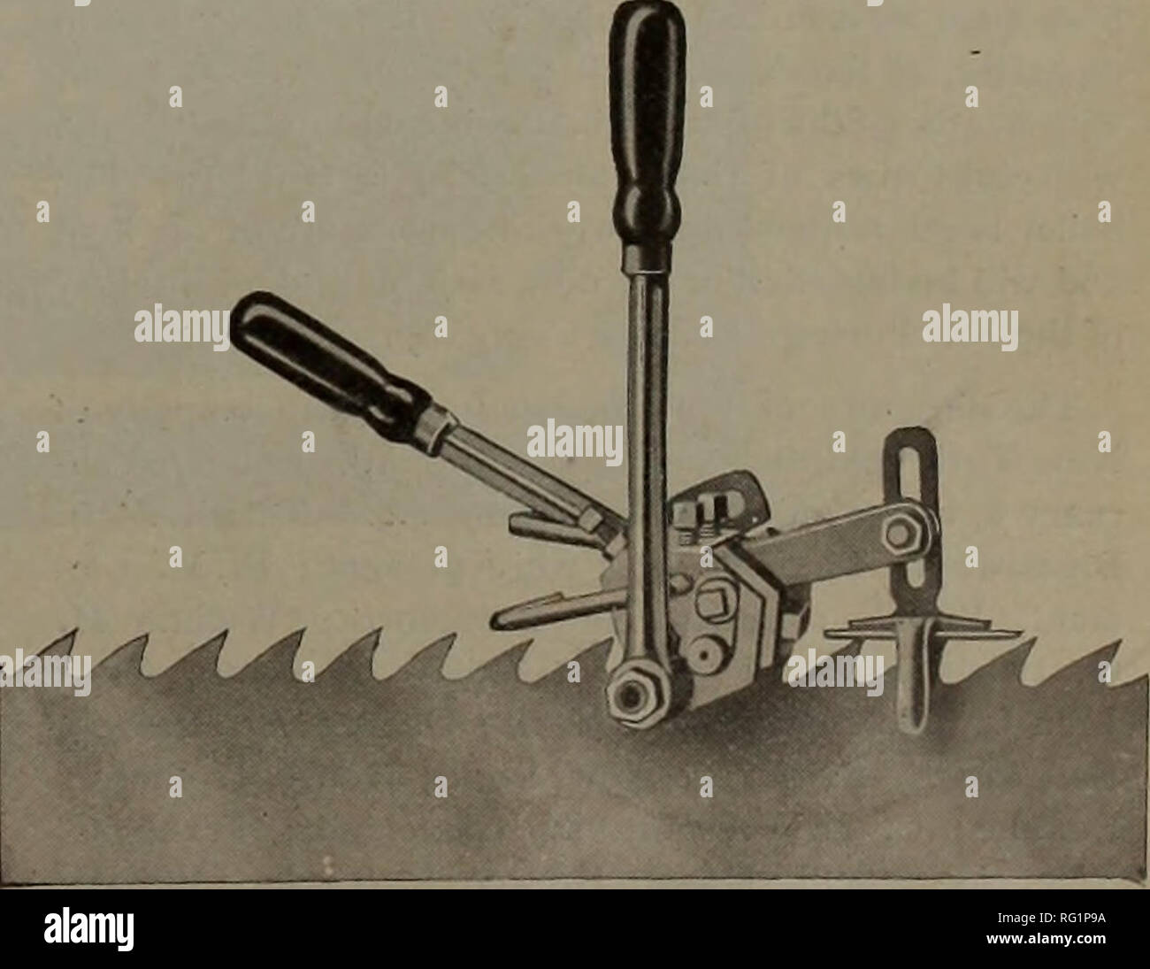 . Canadian forest industries 1905-1906. Lumbering; Forests and forestry ...