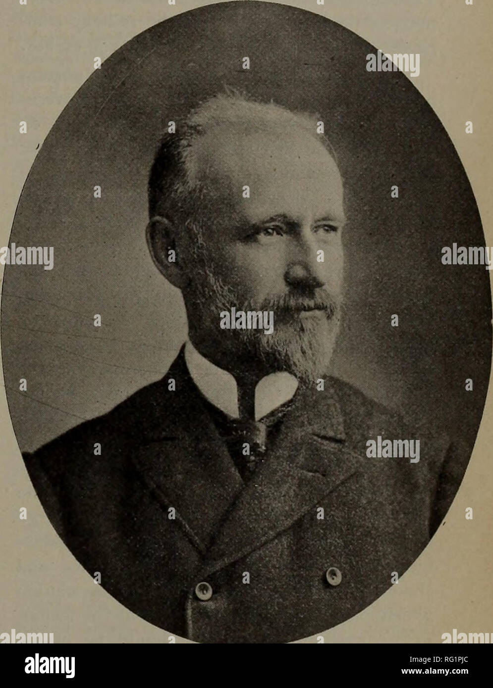 George owen toronto hi-res stock photography and images - Alamy