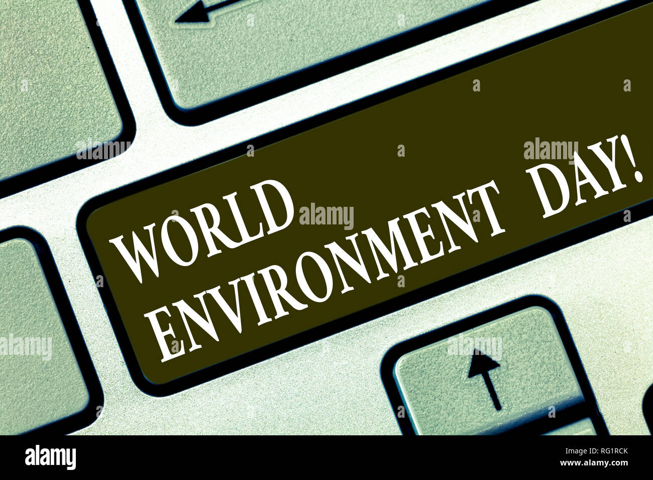 Conceptual hand writing showing World Environment Day. Business photo ...