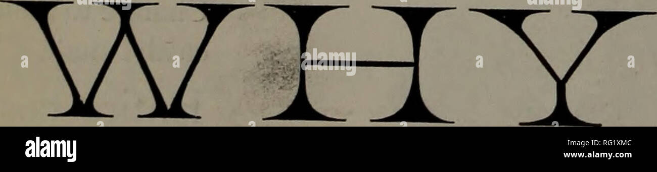 Lne 1 hi-res stock photography and images - Alamy