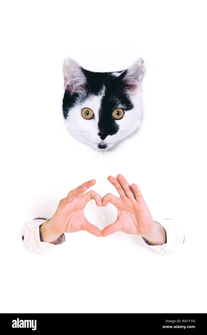 Man animal relationship Cut Out Stock Images & Pictures - Alamy