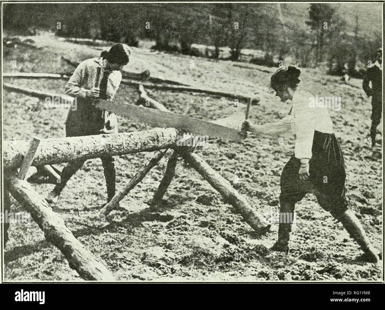 . Canadian forestry journal. Forests and forestry -- Canada Periodicals ...