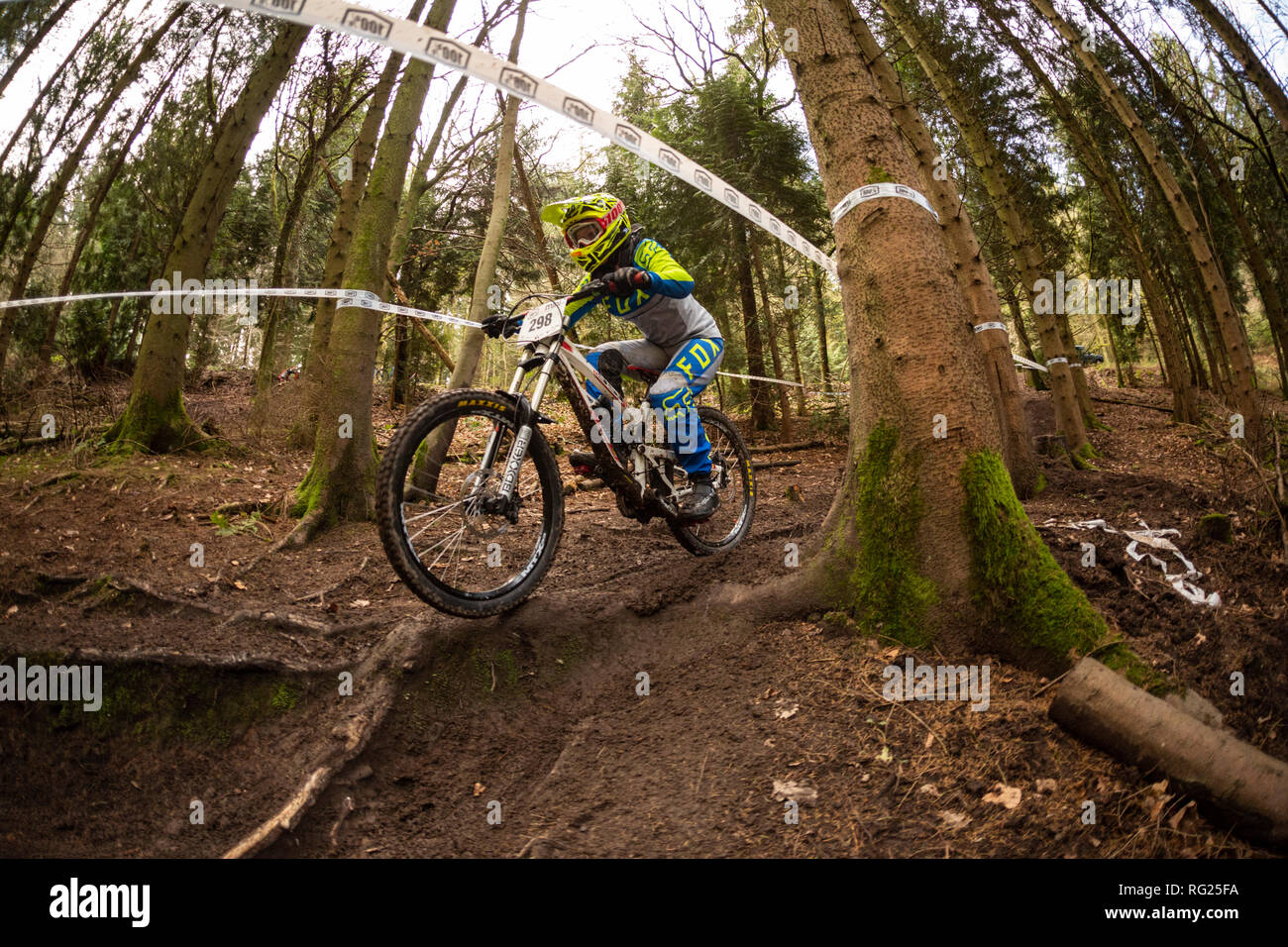 Kerry carpenter hi-res stock photography and images - Alamy