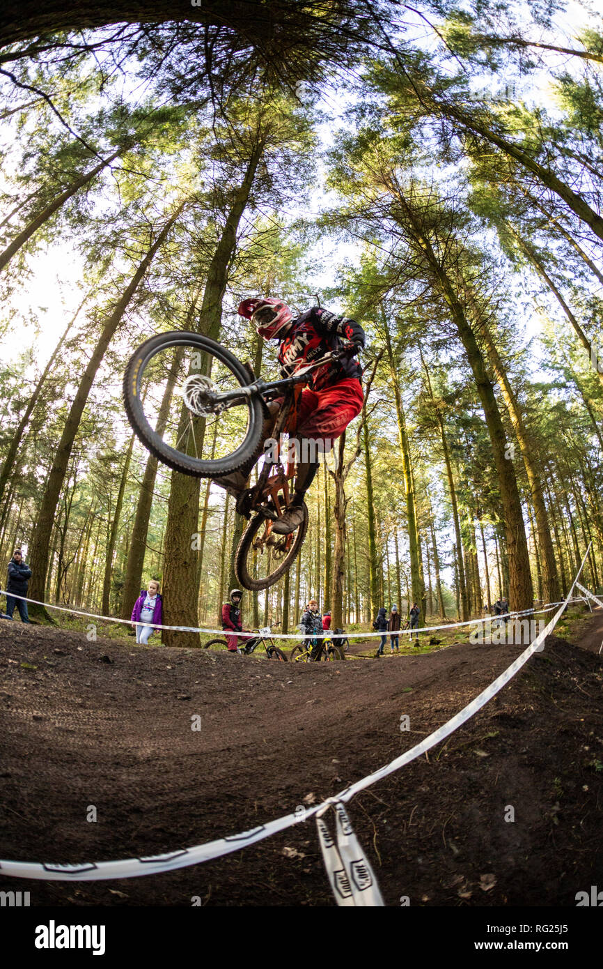 Onza mini dh hi-res stock photography and images - Alamy