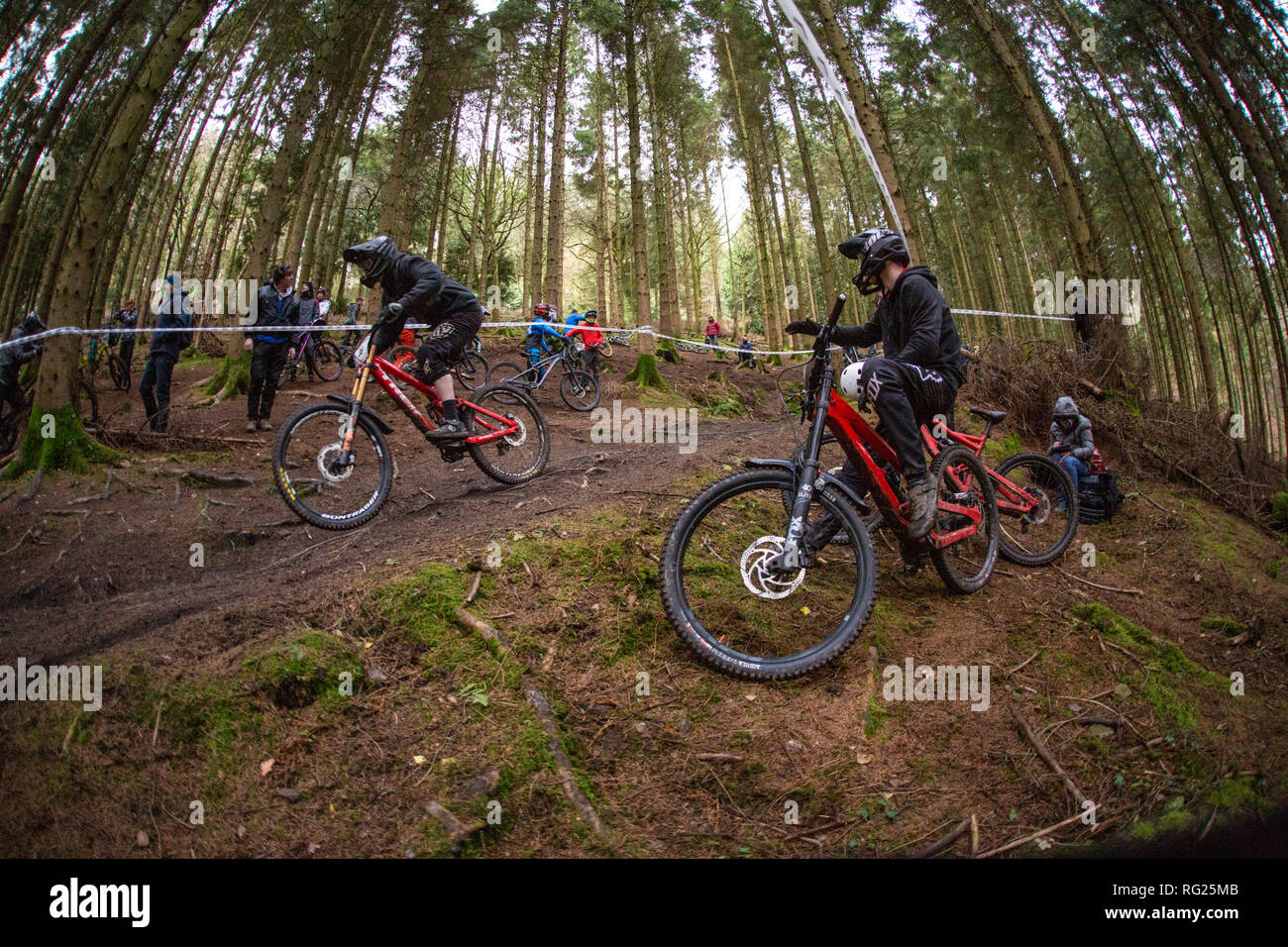 Corkscrew, Forest of Dean, Gloucesteshire, UK. 27th January 2019 ...