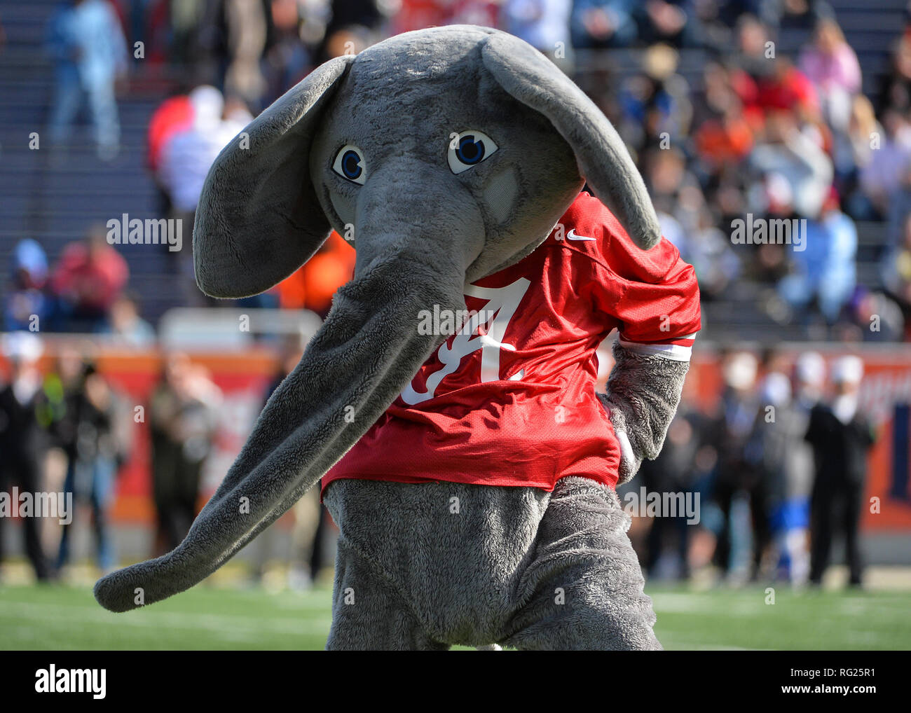 Mobile, AL, USA. 26th Jan, 2019. Alabama Crimson Tide mascot, Big Al ...