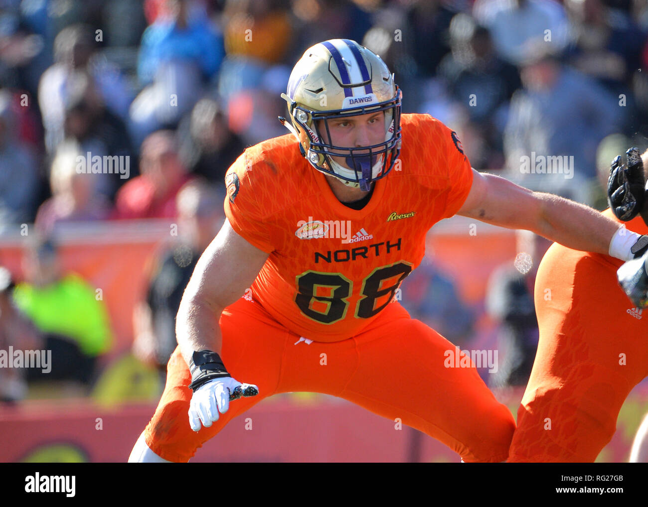 2019 380 jpg hi-res stock photography and images - Alamy