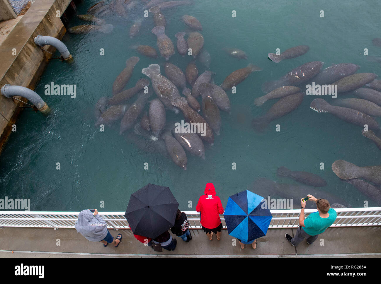 Warm water discharge hi-res stock photography and images - Alamy