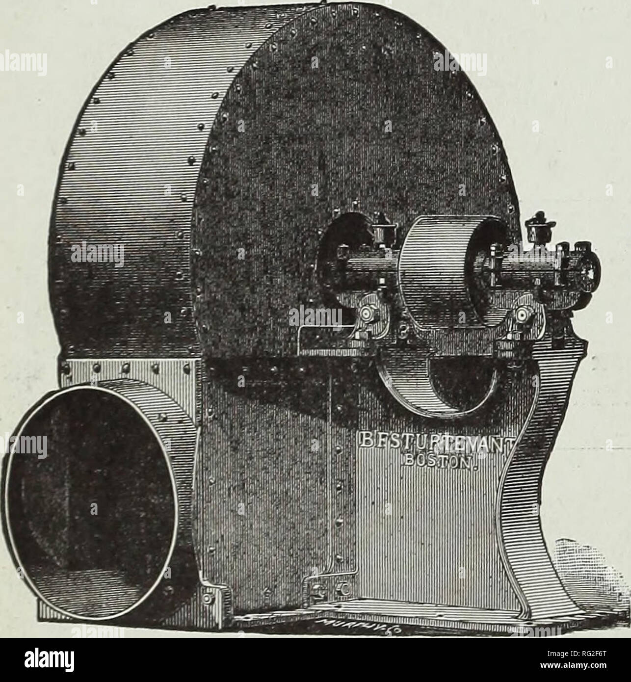 Puusy hi-res stock photography and images - Alamy