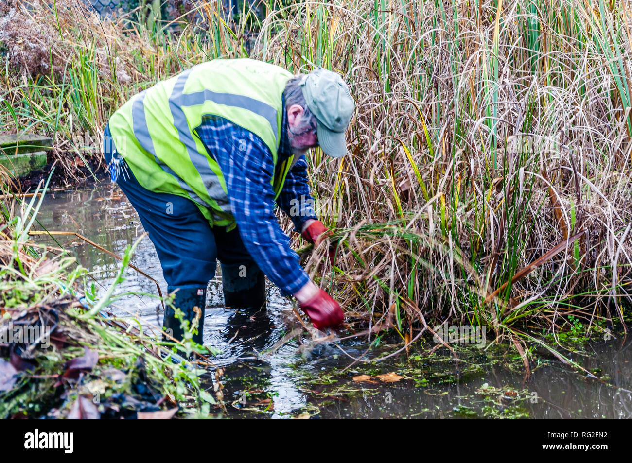 Removing green spaces hi-res stock photography and images - Alamy