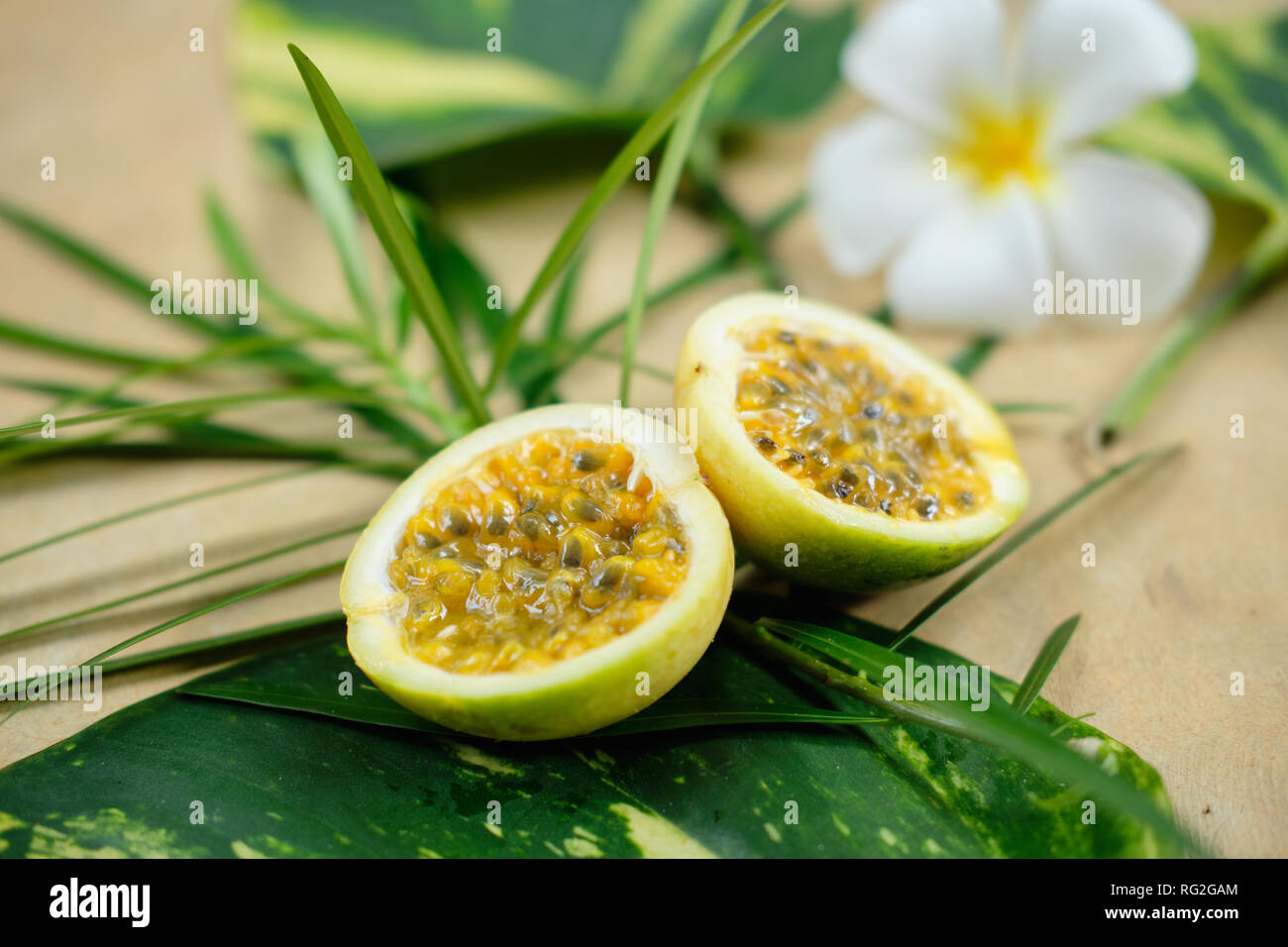 Maracuja Passionfruit Half Cut Still Life View Exotic Juicy Seed