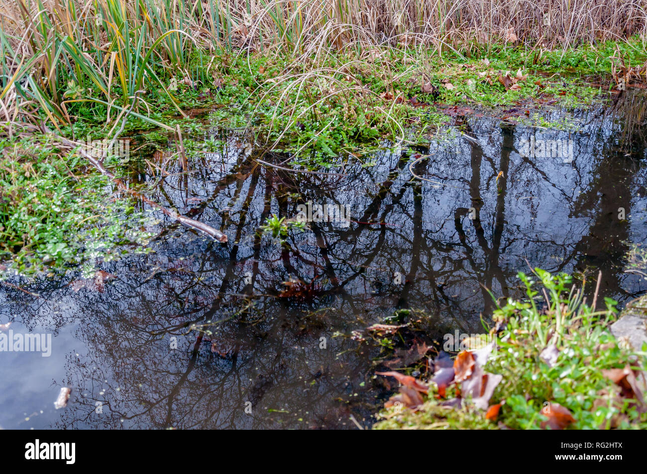 Dipping hands in water hi-res stock photography and images - Alamy