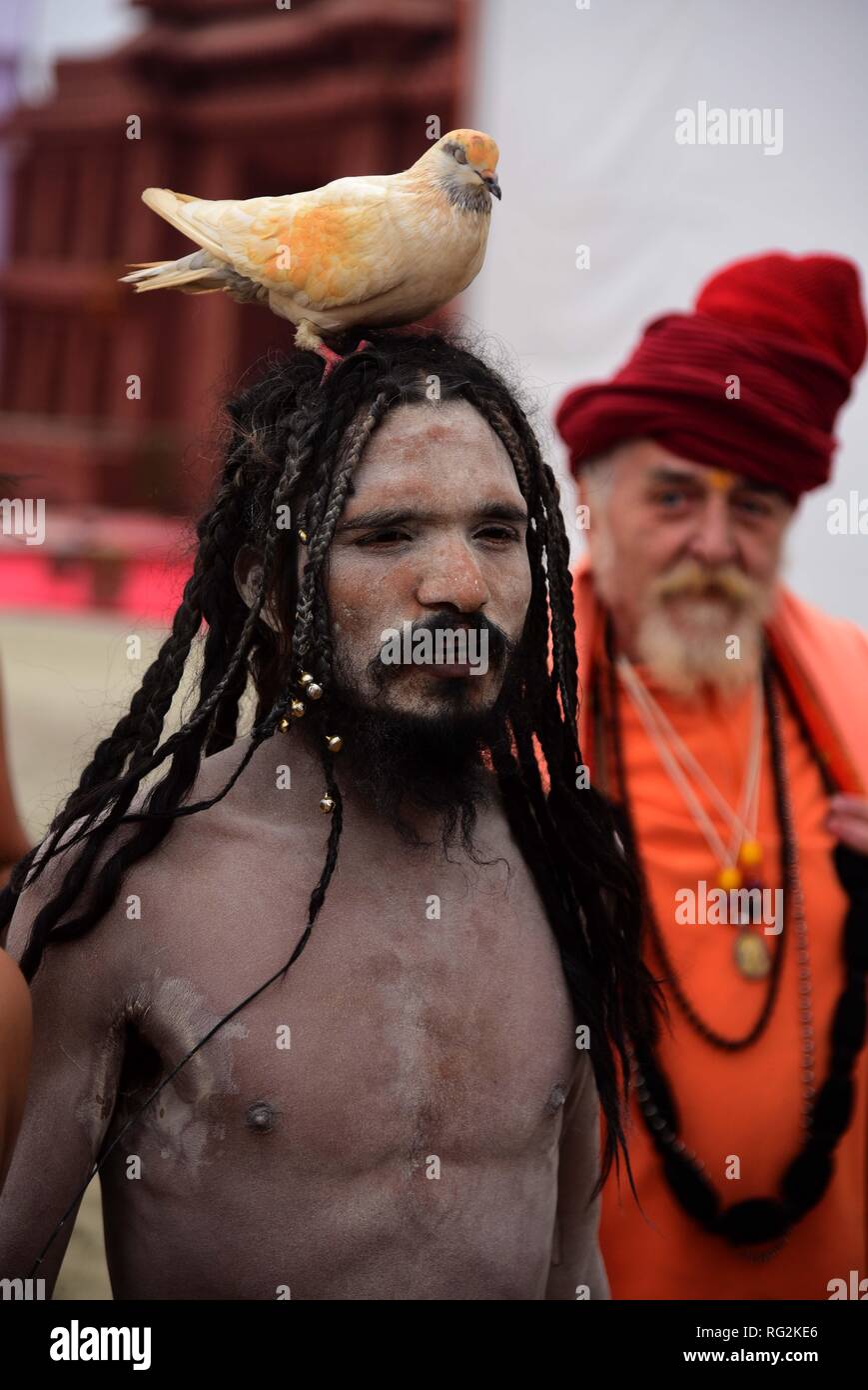Naga sadhu initiation hi-res stock photography and images - Alamy