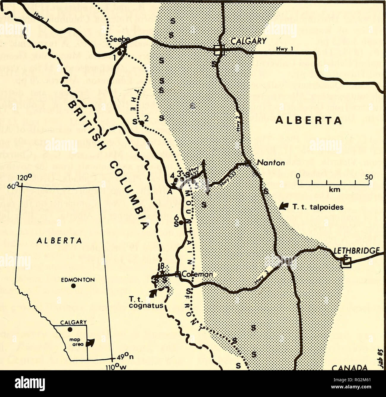 . The Canadian field-naturalist. 1987 BURNS: Northern Pocket Gopher in ...