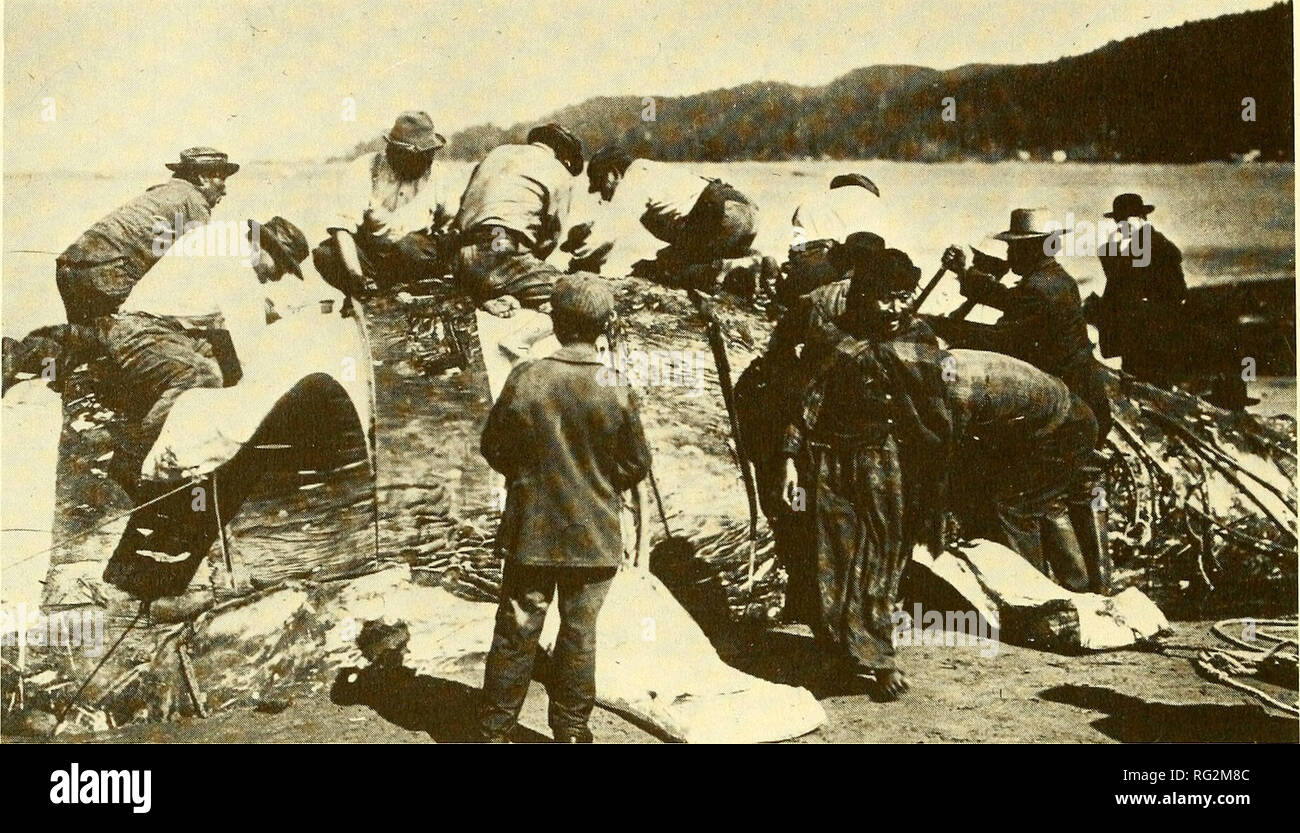 Aboriginal subsistence whaling hi-res stock photography and images - Alamy