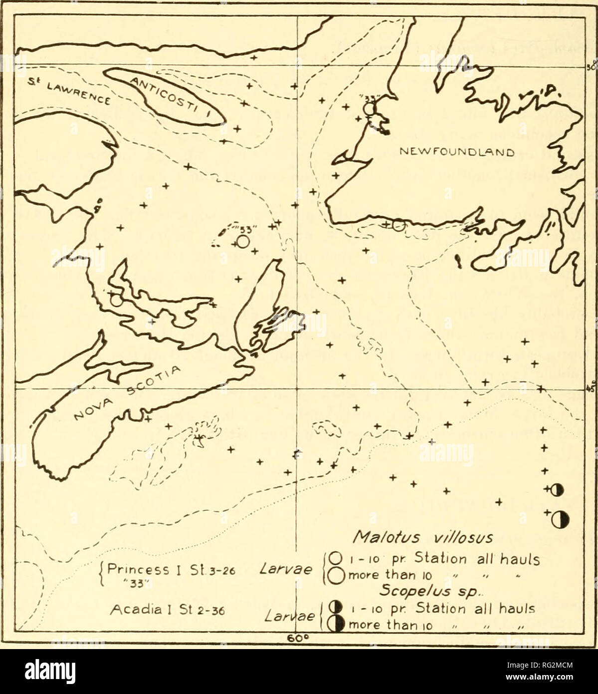 . Canadian fisheries expedition, 1914-1915; Investigations in the Gulf ...