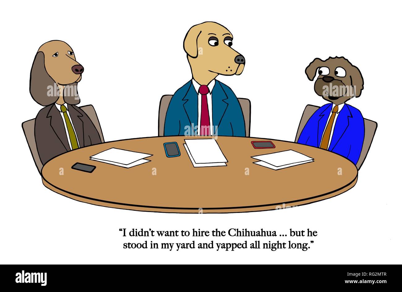 Chihuahua yapped until he was hired Stock Photo - Alamy