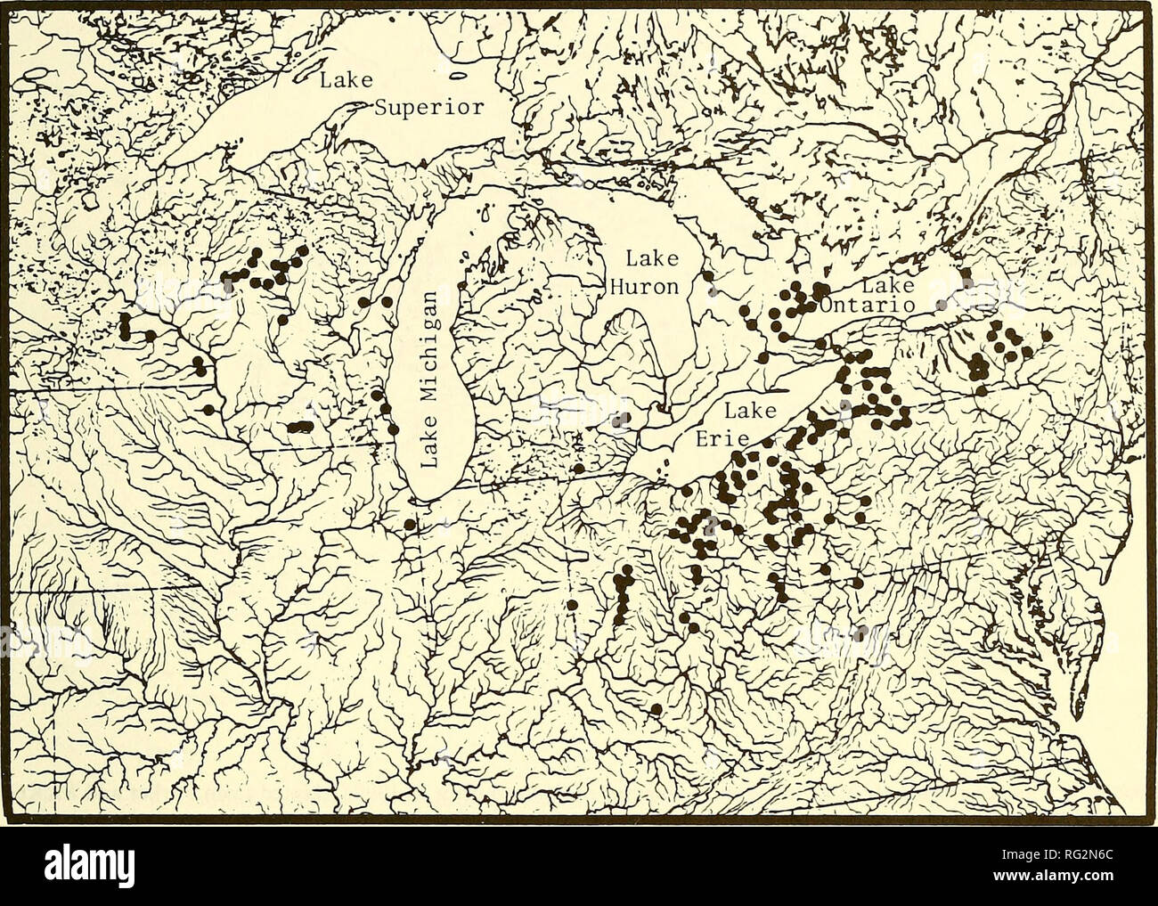 Redside dace hi-res stock photography and images - Alamy