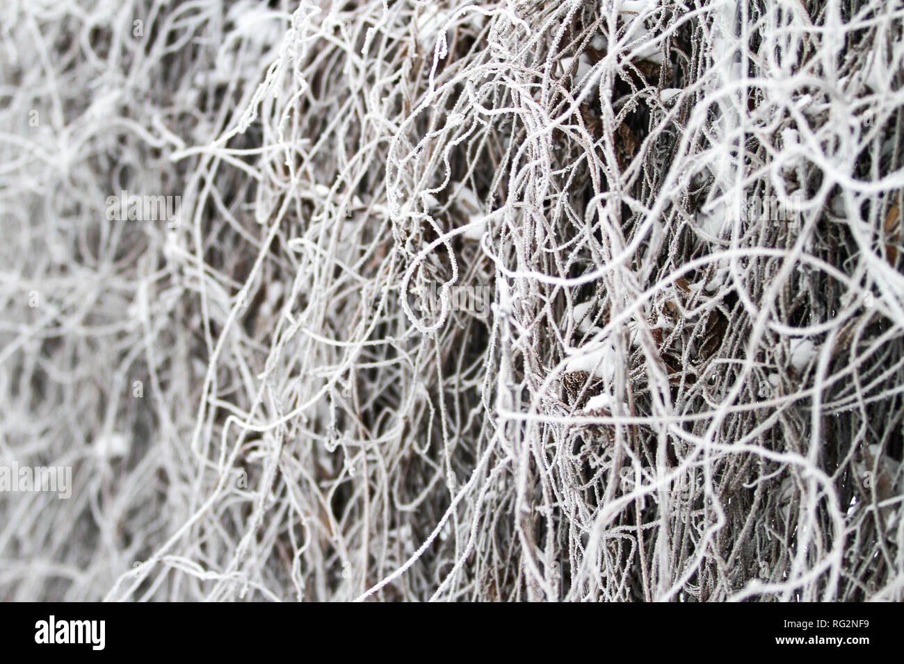 Frozen wires hi-res stock photography and images - Alamy