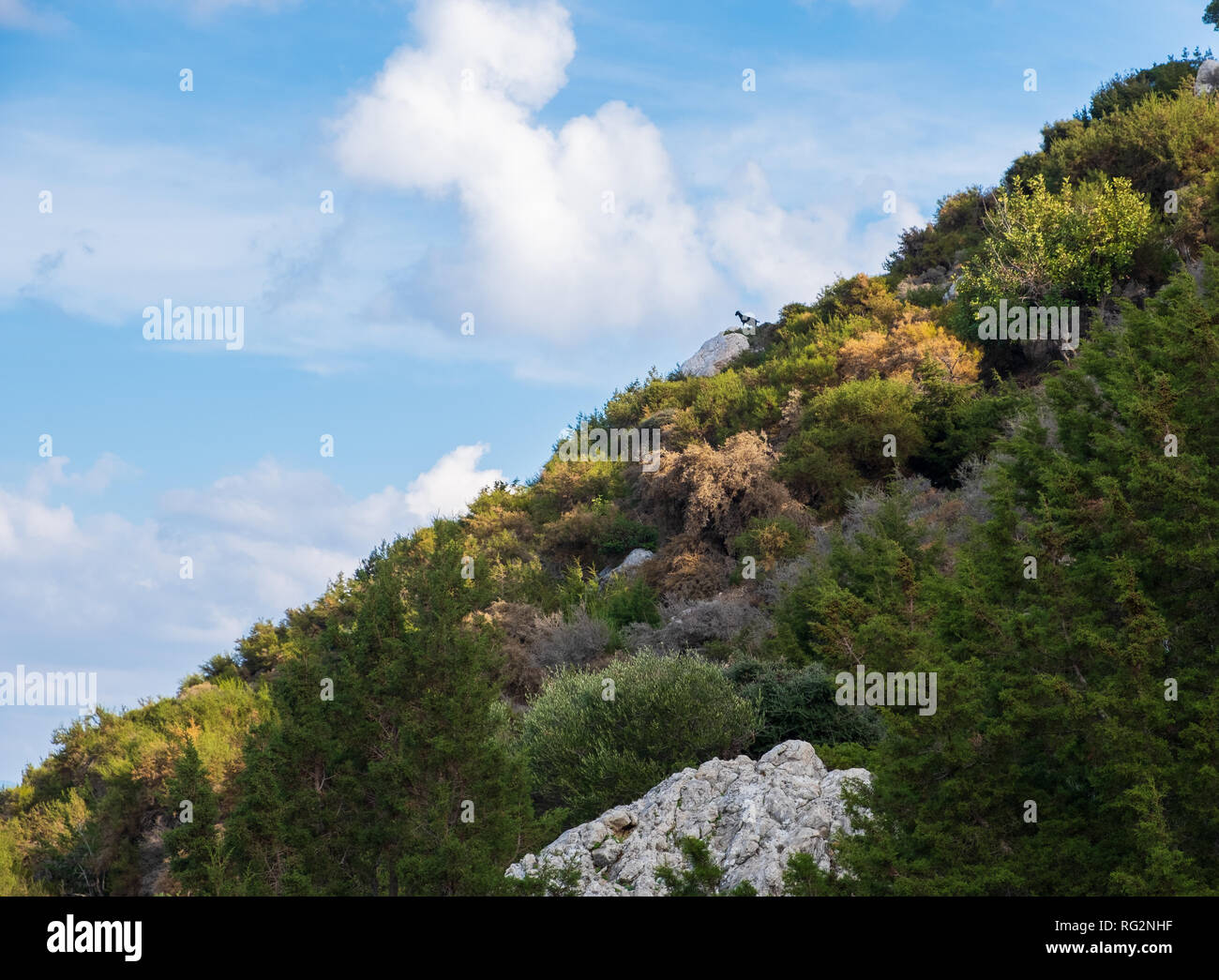 Akamas national forest park hi-res stock photography and images - Alamy