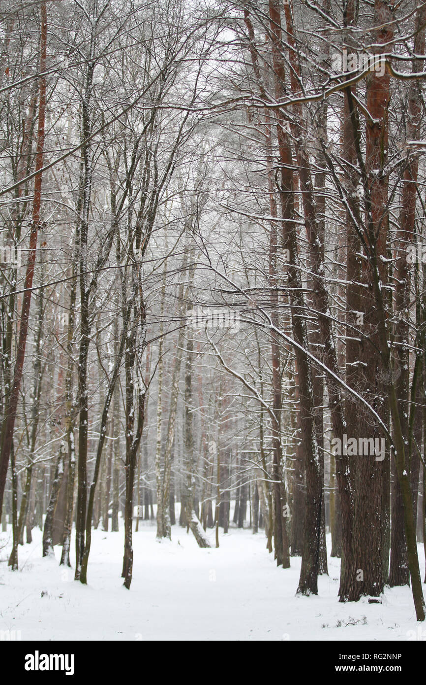 Beautiful winter countryside village view of frozen snow on a cold day ...