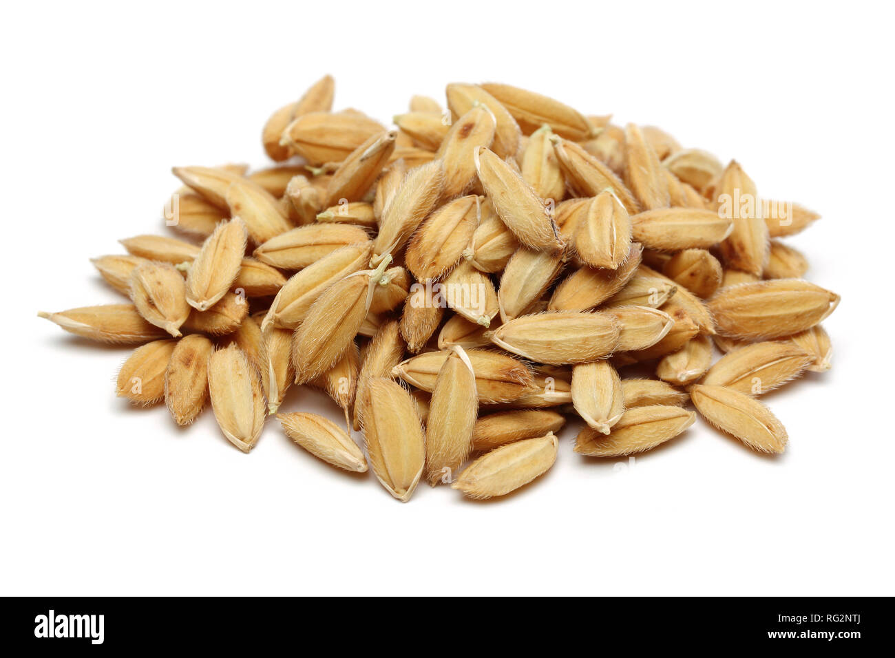 Pile of unpeeled rice grains isolated on white background Stock Photo ...