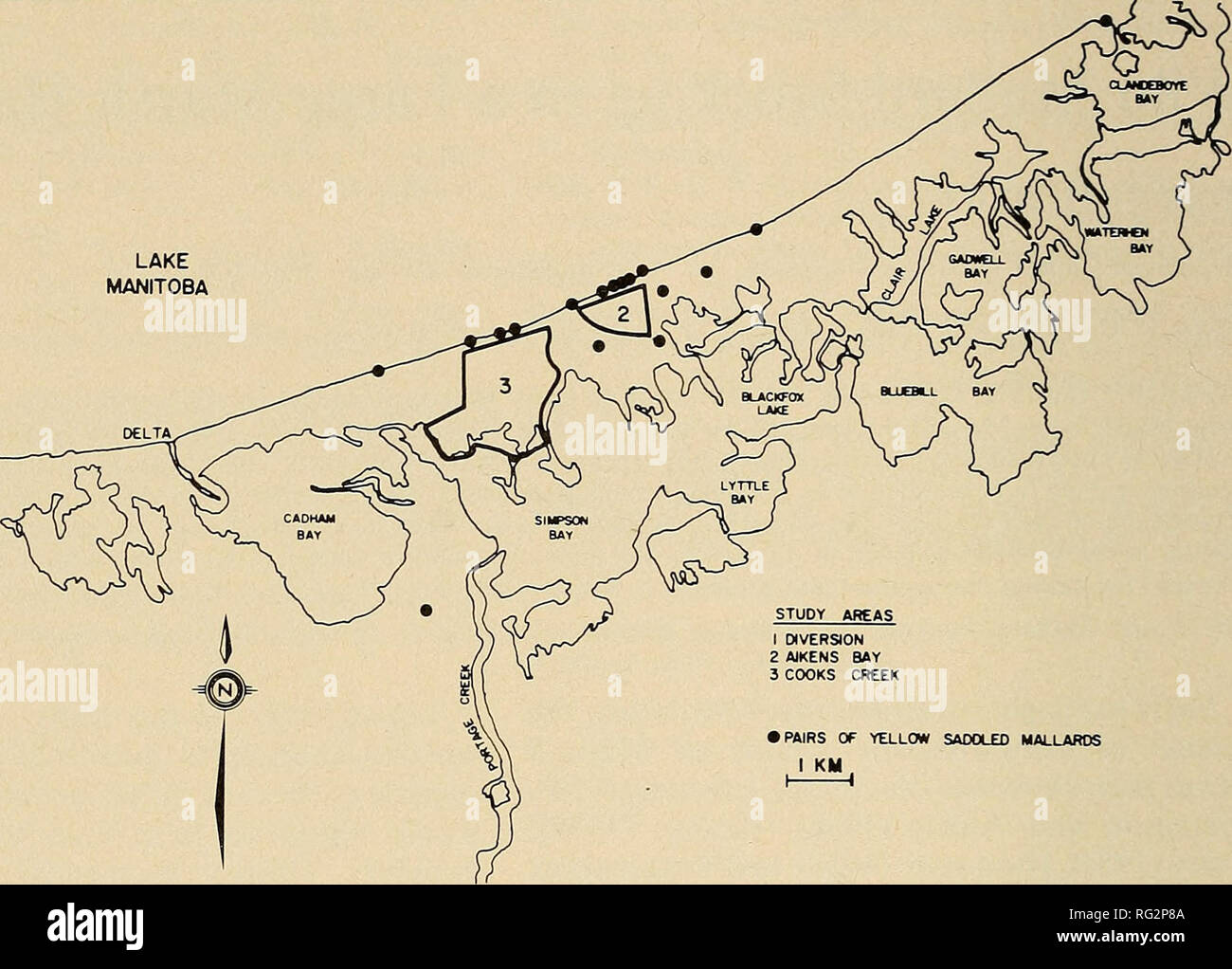 . The Canadian field-naturalist. 56 The Canadian Field-Naturalist Vol ...