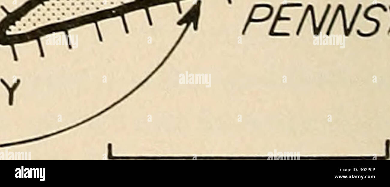 . The Canadian field-naturalist. ORISKANY OUTCROP. 100 km PENNSYLVANIA ...