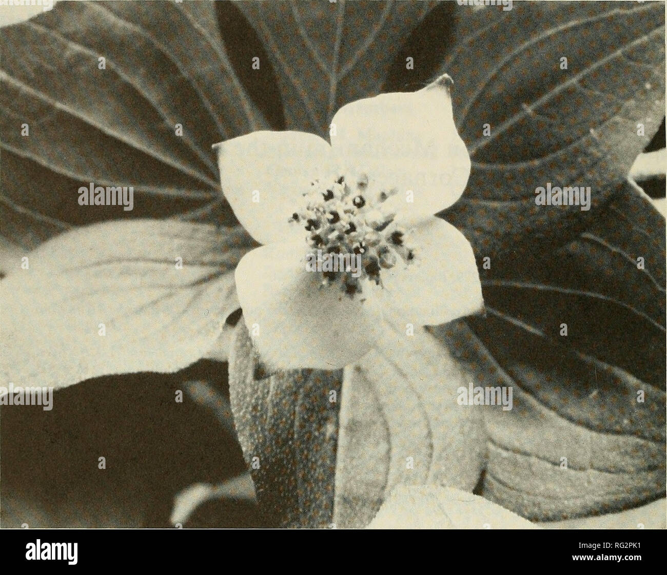 Prised open hi-res stock photography and images - Alamy