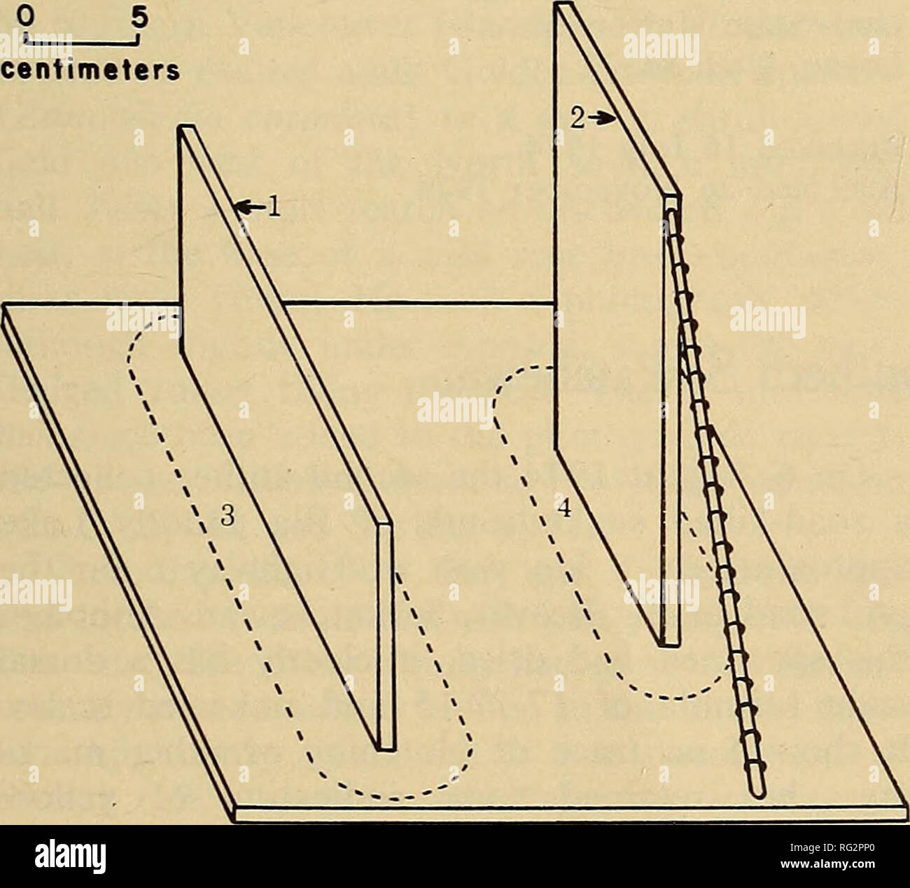 Small Talcum High Resolution Stock Photography and Images - Alamy