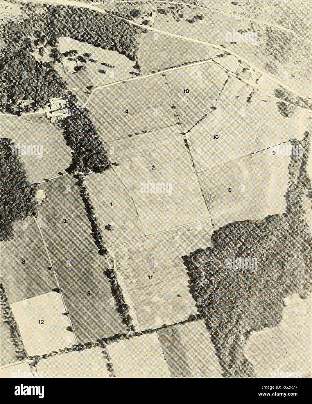 . The Canadian field-naturalist. Brushy Fencerows Fences Arbitrary ...