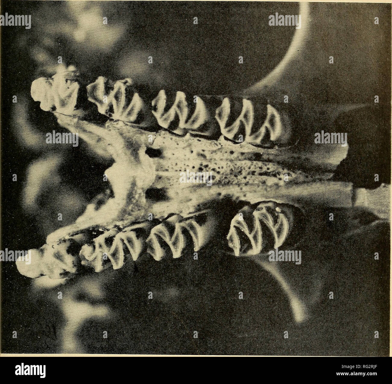 Barrow alaska village hi-res stock photography and images - Alamy