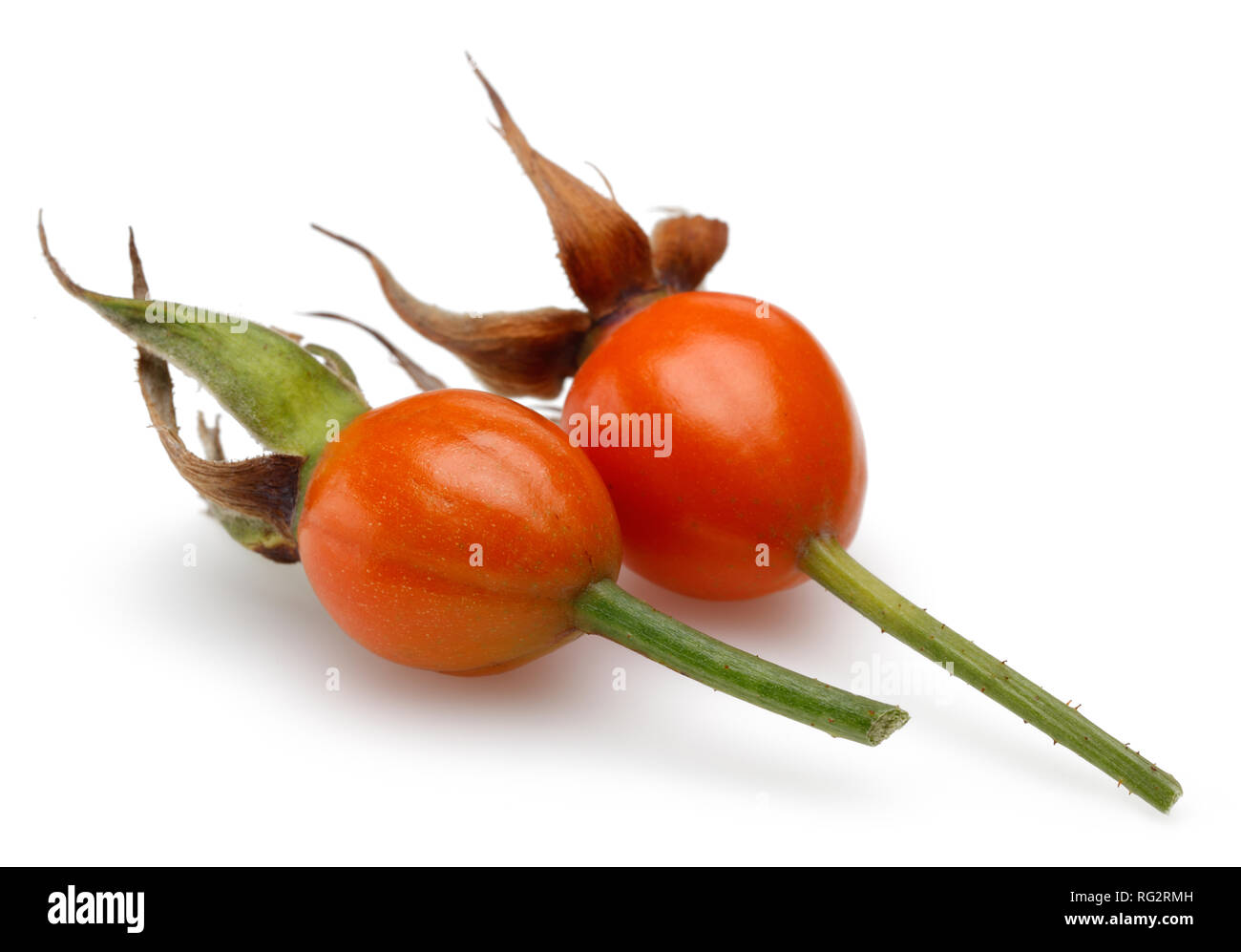 Fresh rose hips isolated on white background Stock Photo - Alamy