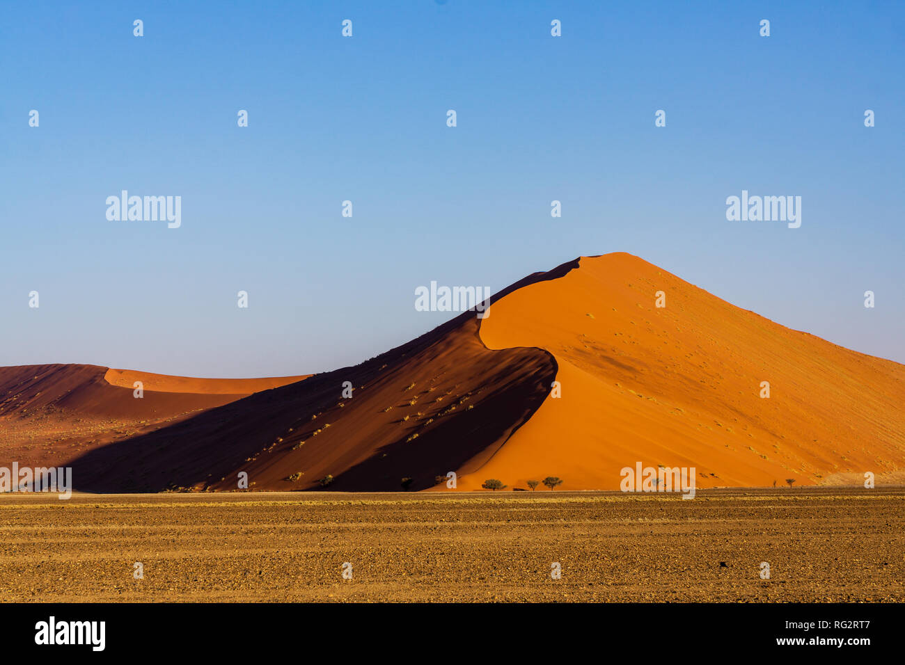 Sand dunes in the Namib desert at dawn, roadtrip in the wonderful Namib ...
