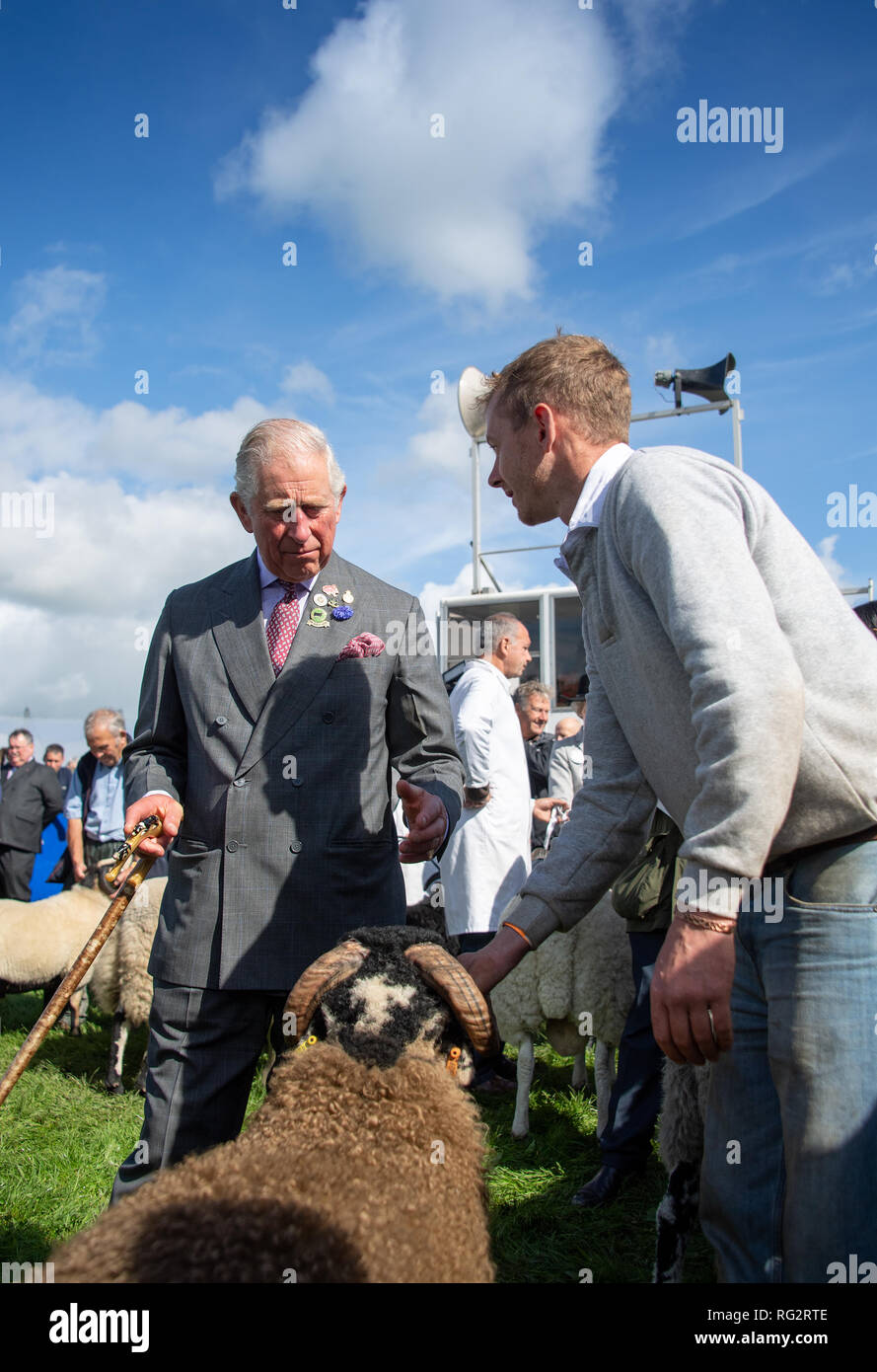 Royal prince of wales agriculture prince of wales prince charles hi-res ...