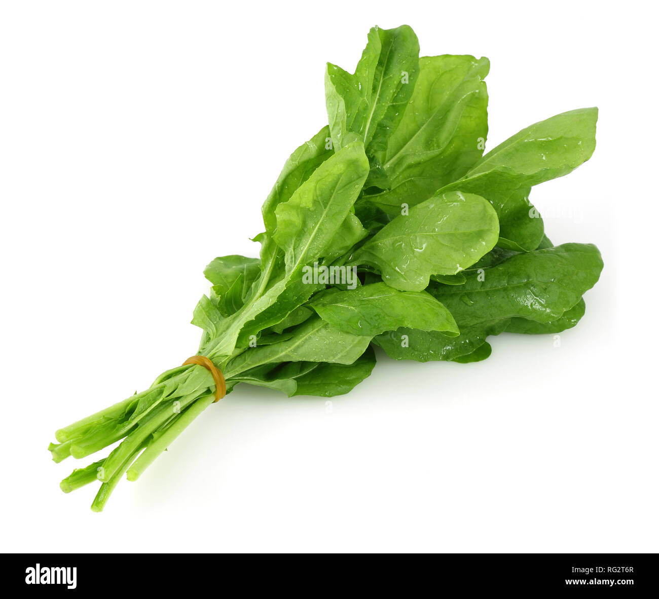 Bunch of fresh rucola isolated on white background Stock Photo - Alamy