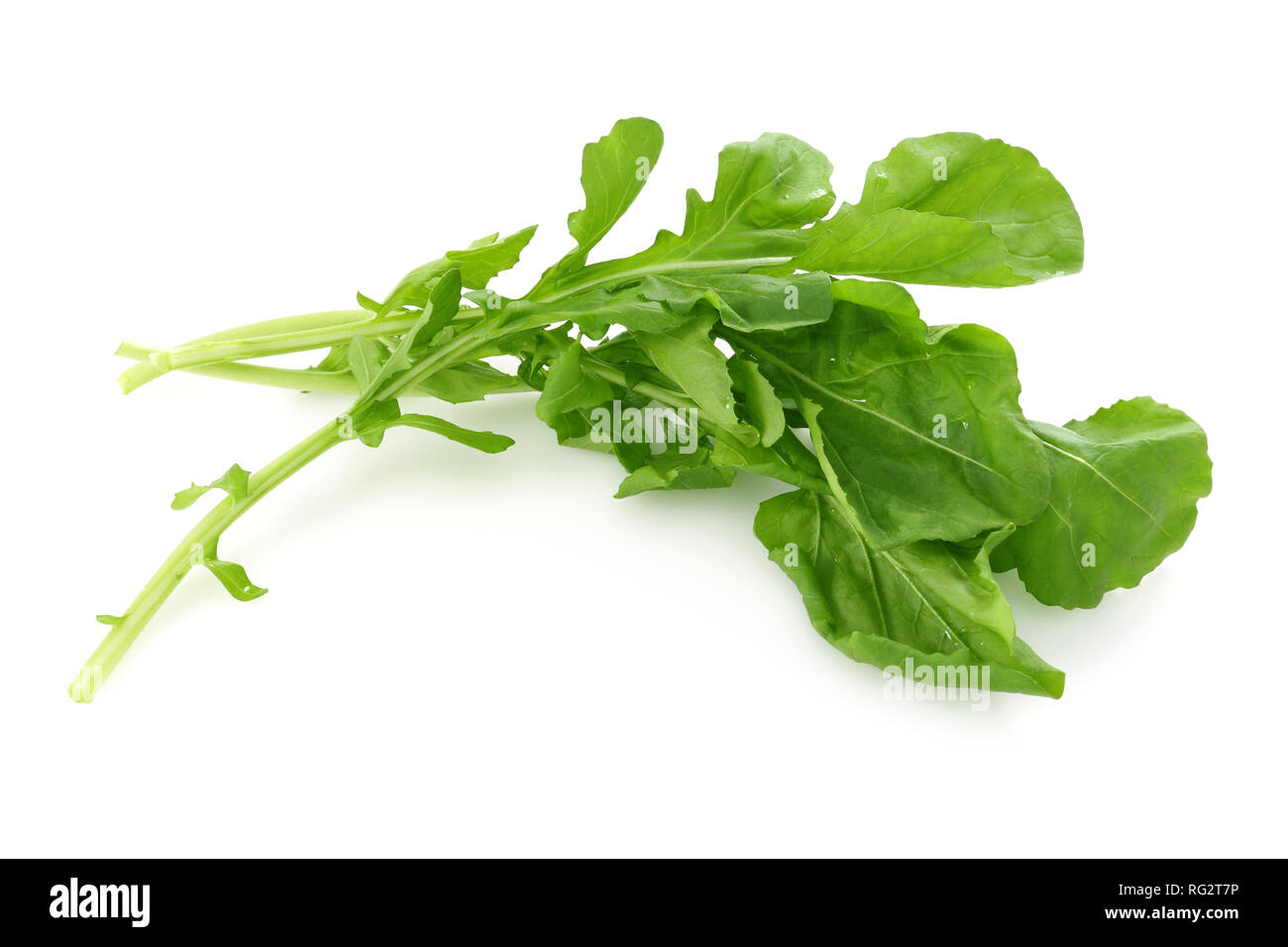 Bunch of fresh rucola isolated on white background Stock Photo - Alamy