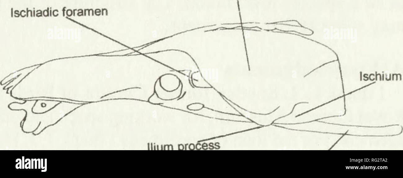 . The Canadian field-naturalist. Natural history; Sciences naturelles ...