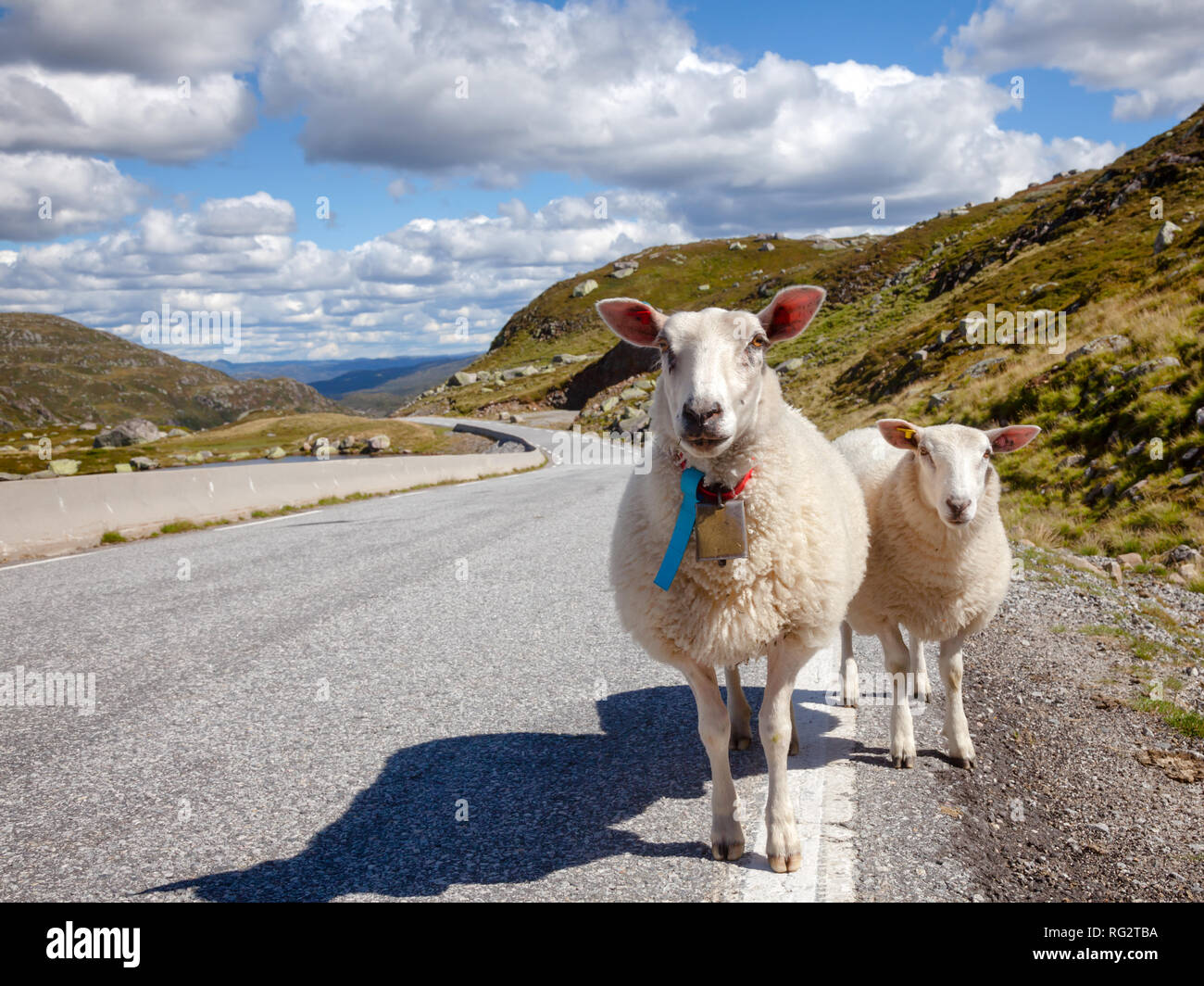 Agriculture hazard hi-res stock photography and images - Alamy