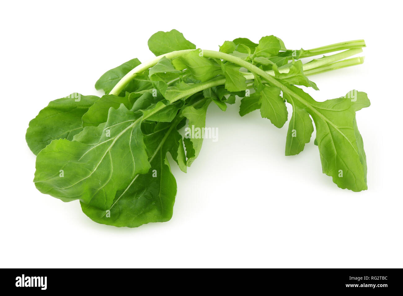 Bunch of fresh rucola isolated on white background Stock Photo - Alamy