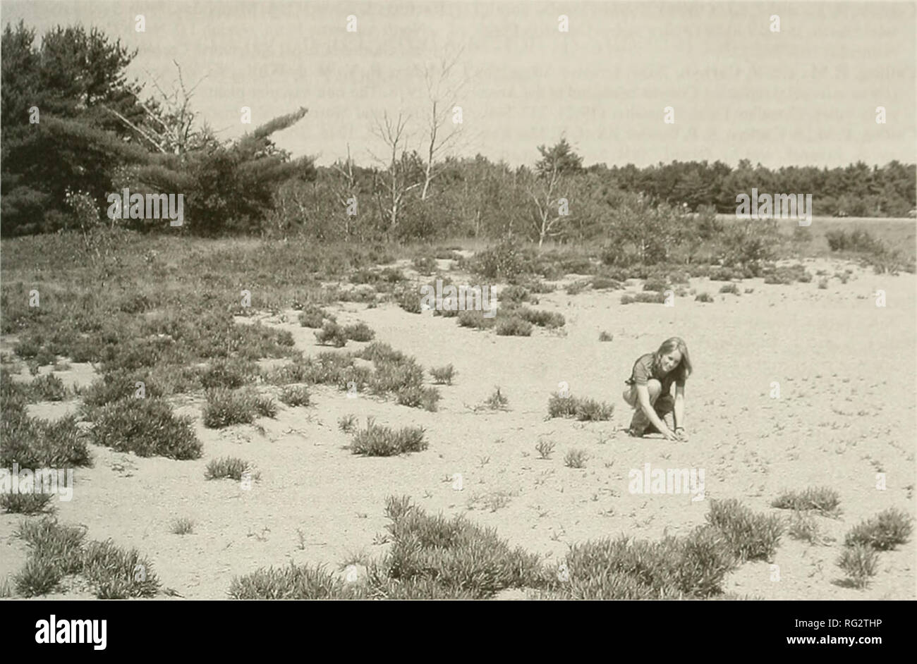 Scotia barrens hi-res stock photography and images - Alamy