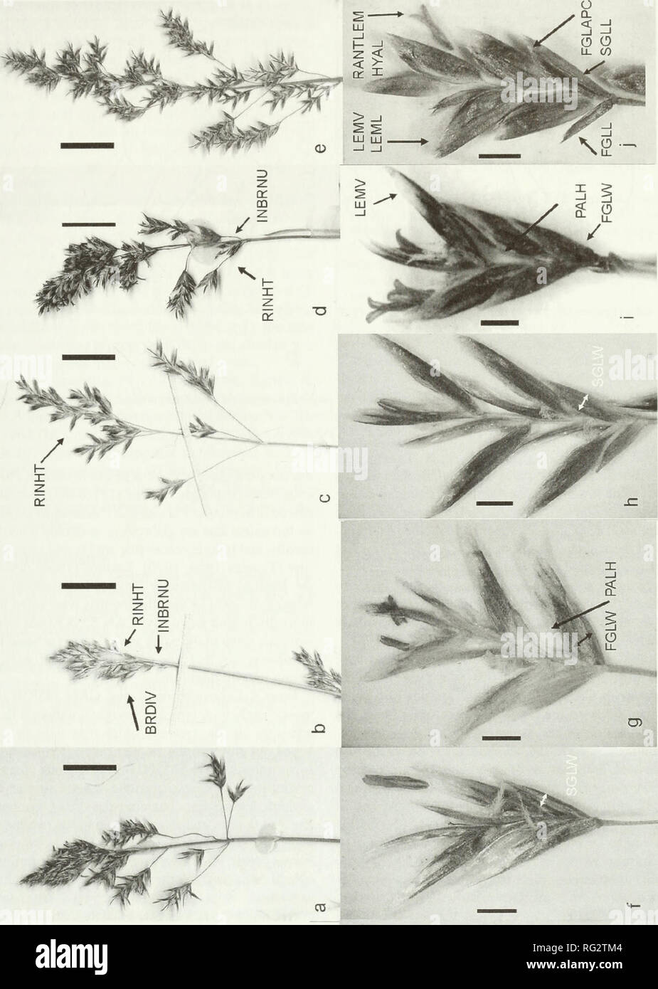 . The Canadian field-naturalist. Natural history; Sciences naturelles ...