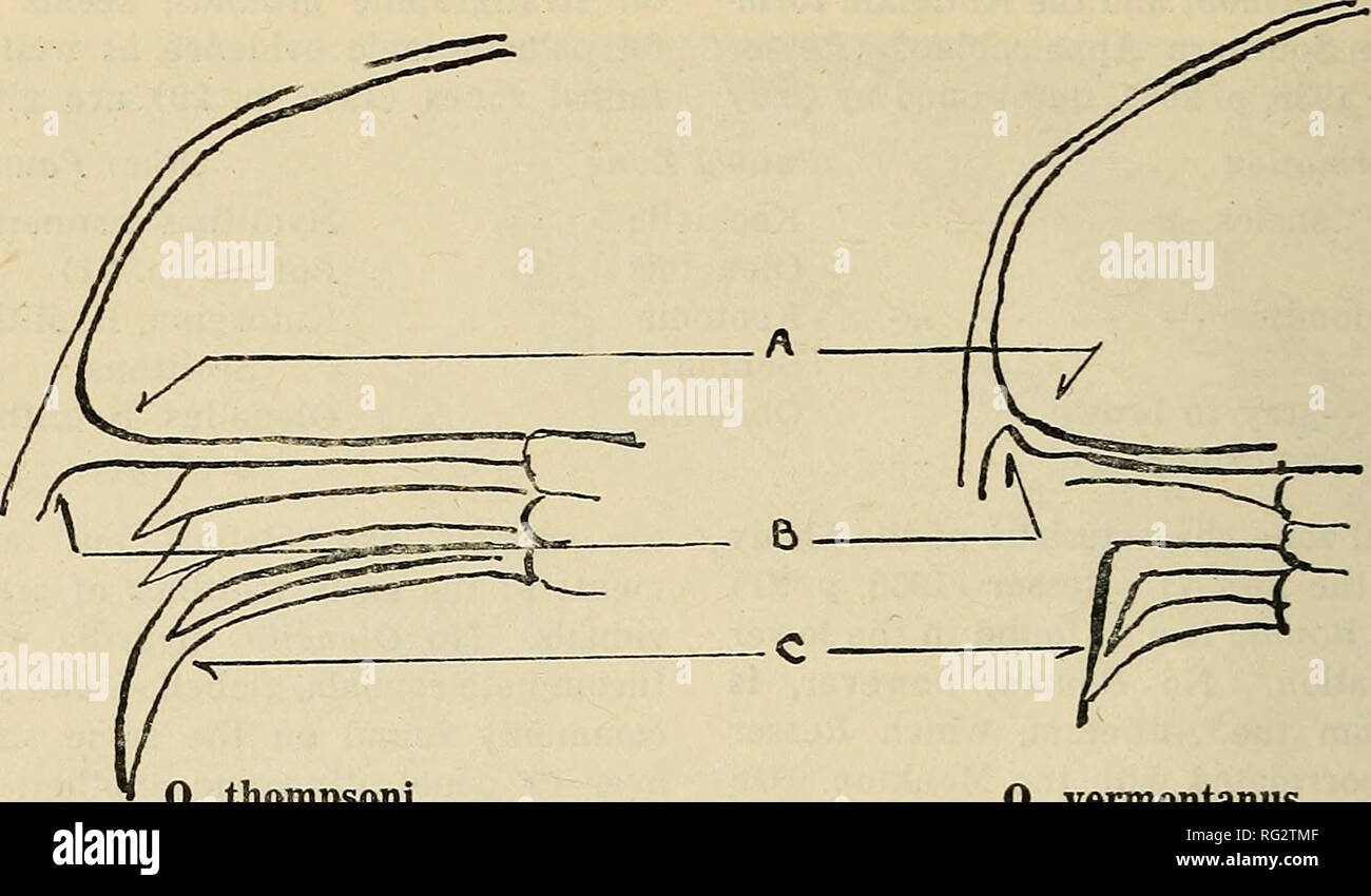Reentrant hi-res stock photography and images - Alamy
