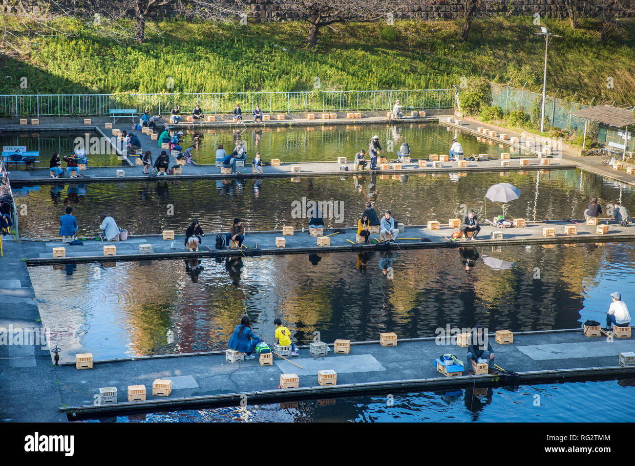 Japanese families hi-res stock photography and images - Alamy