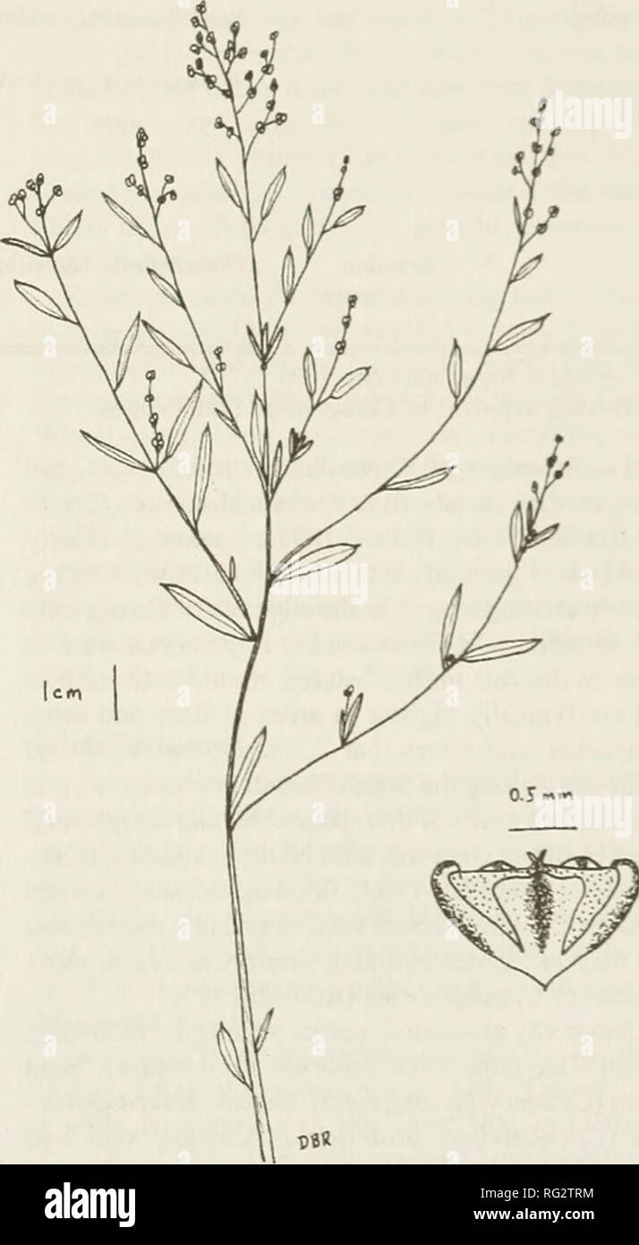 R3b hi-res stock photography and images - Alamy