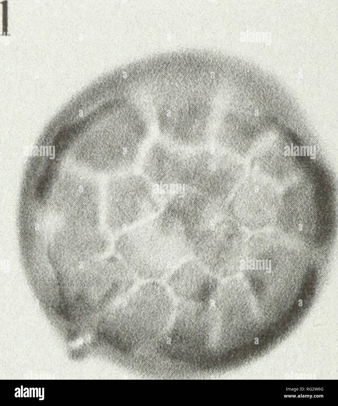 . The Canadian field-naturalist. Natural history; Sciences naturelles ...