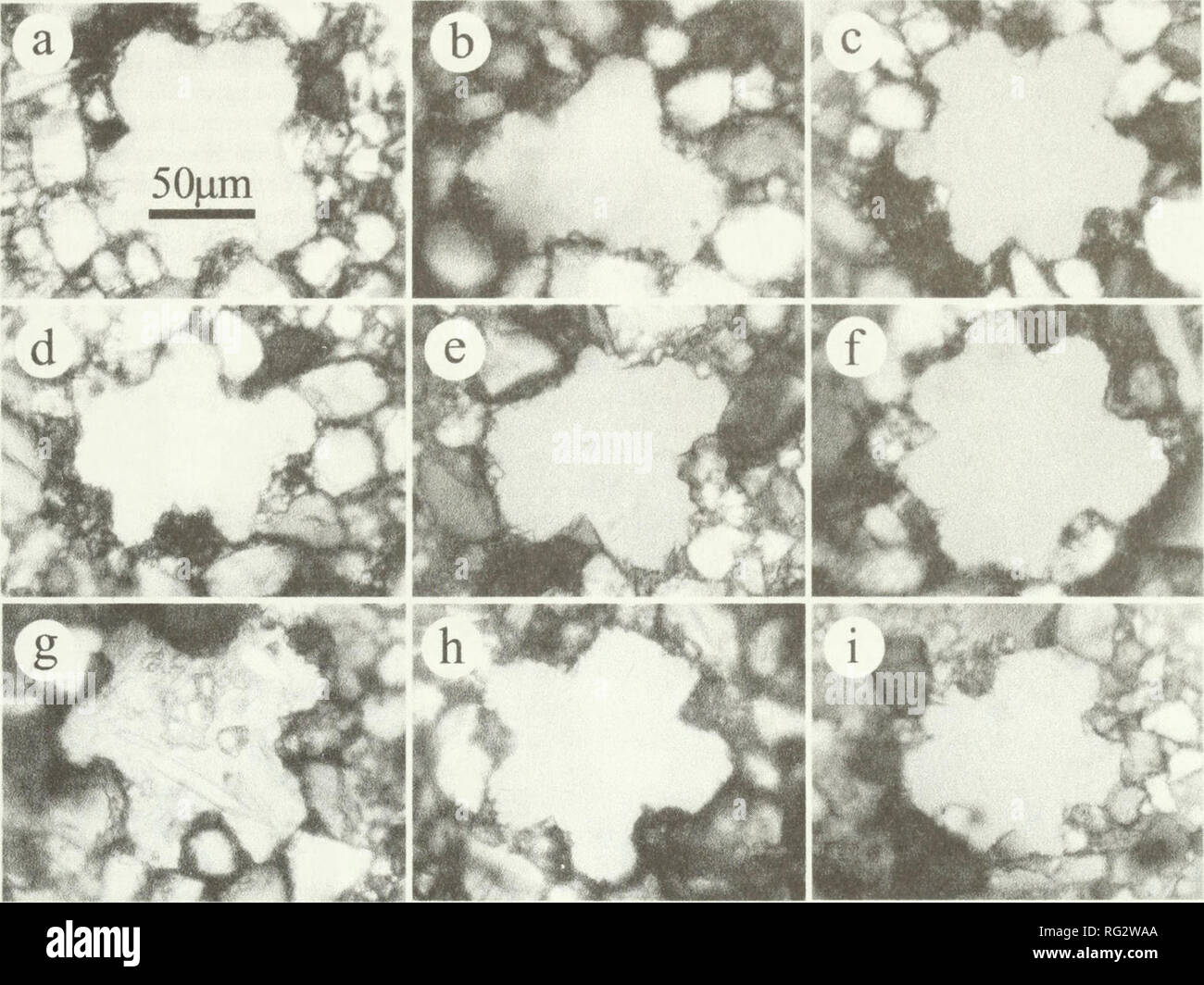 . The Canadian field-naturalist. Natural history; Sciences naturelles ...