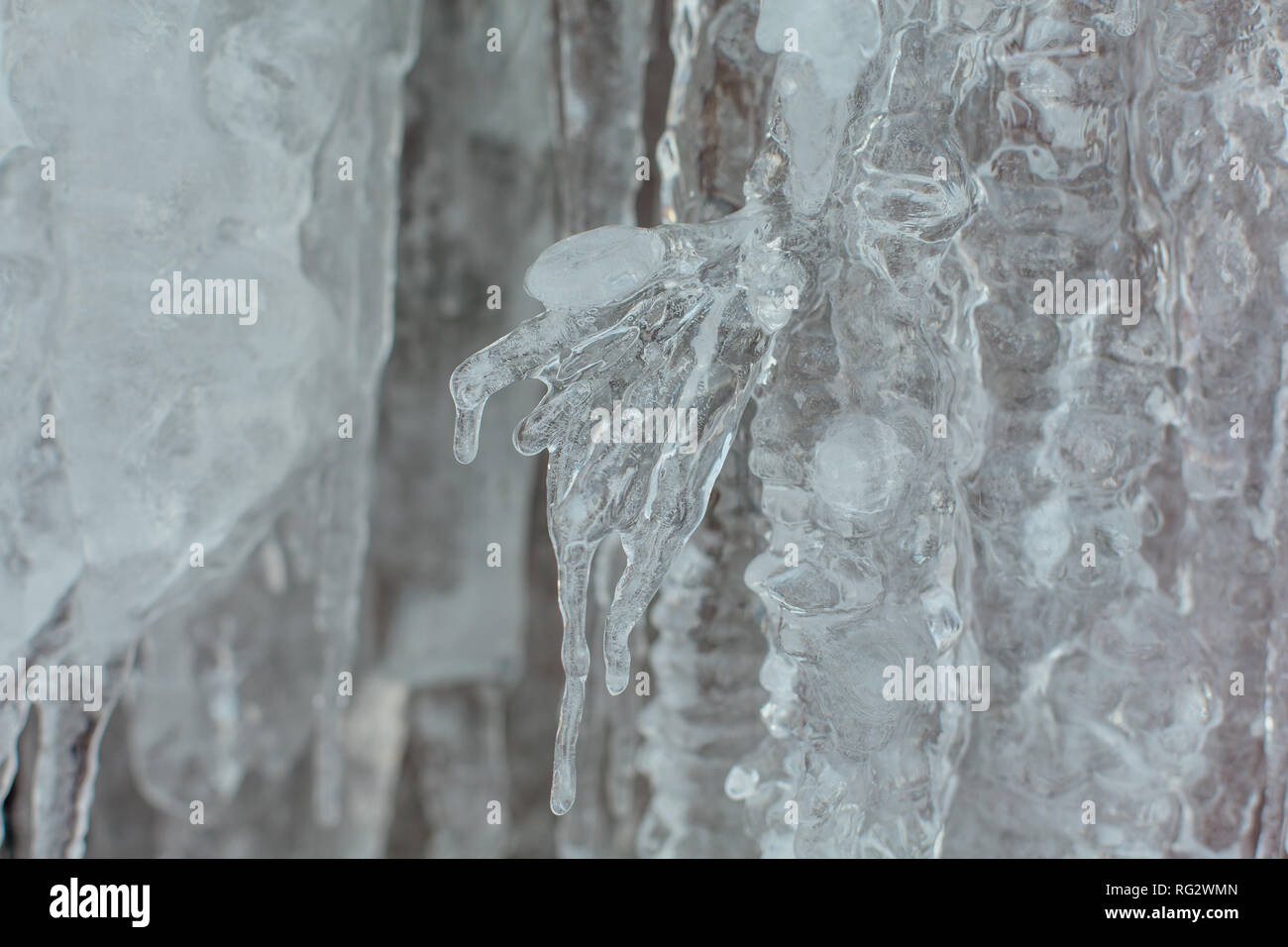 Very large and dangerous icicles close up in winter Stock Photo - Alamy